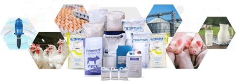 Promax International Corp | Animal Solutions